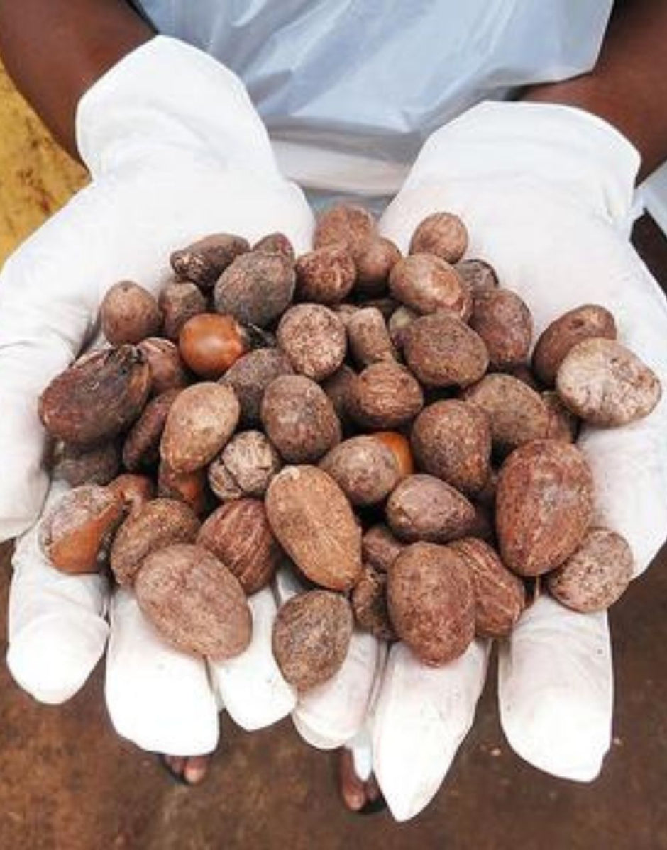 All Collections – The Hamlin Shop